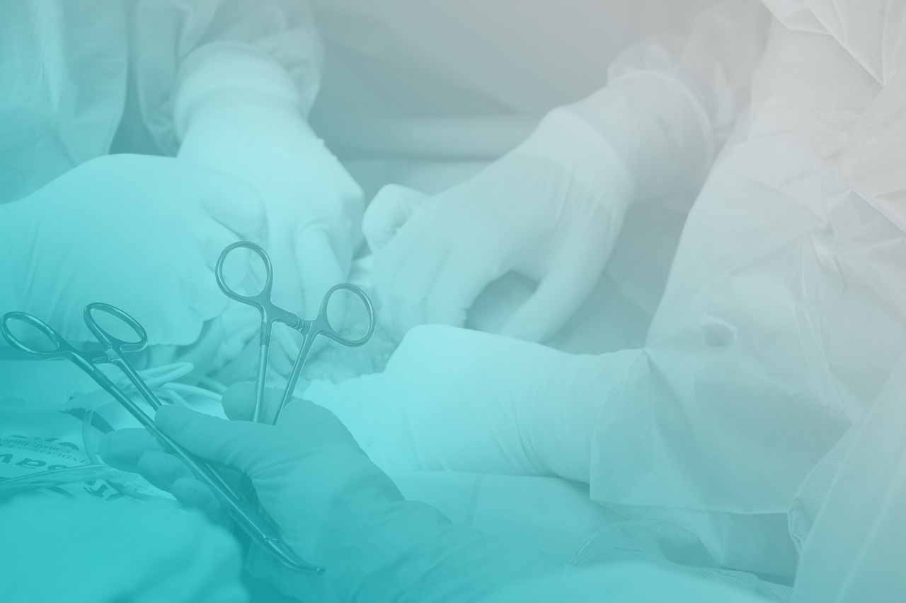 Publicaciones - Dr. Roldán